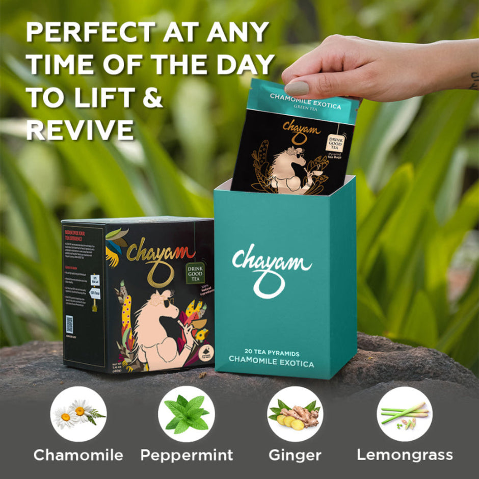 Premium Tea Gifts & Wellness Blends | Chayam Tea