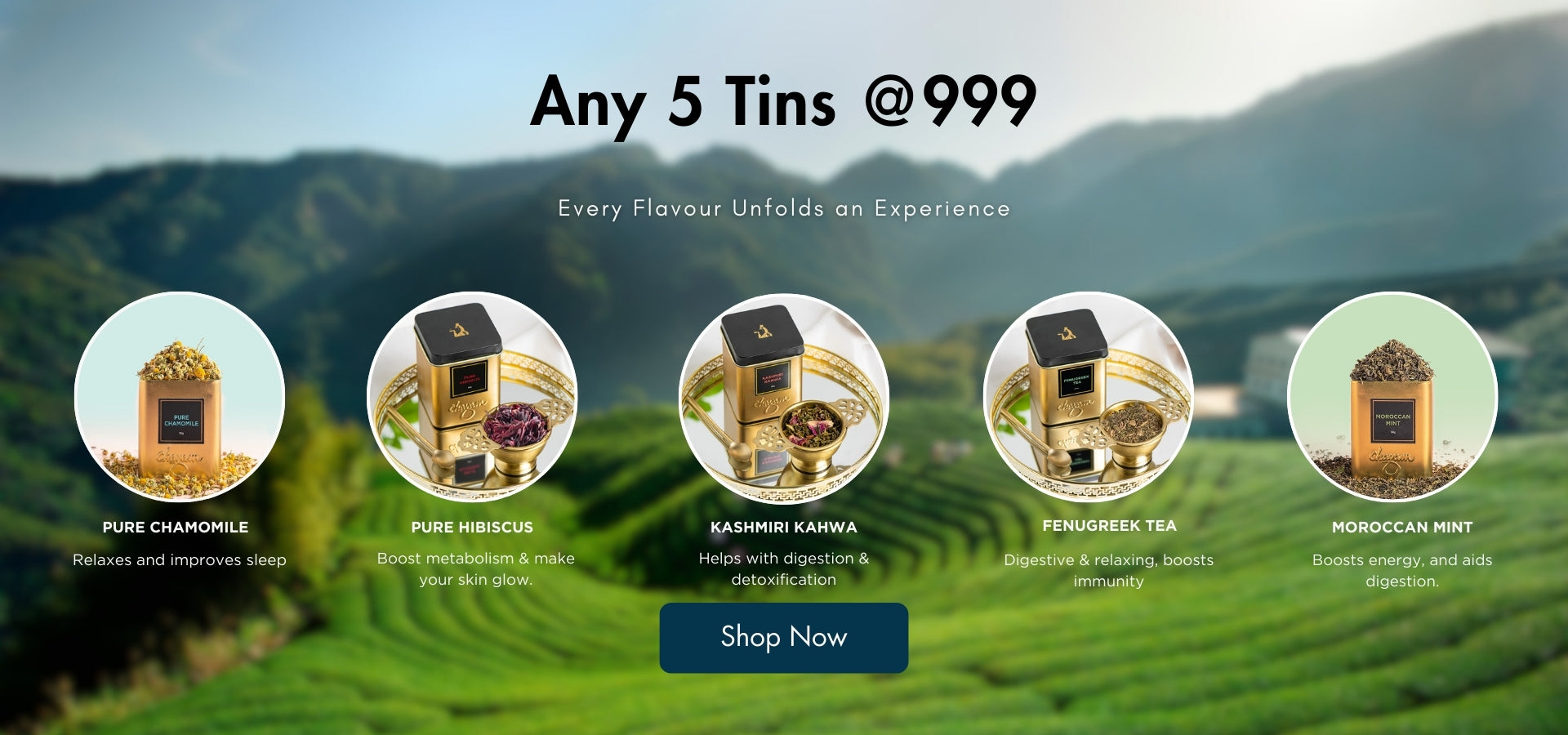 Chayam Tea: Buy Authentic and Flavourful Indian Teas Online
